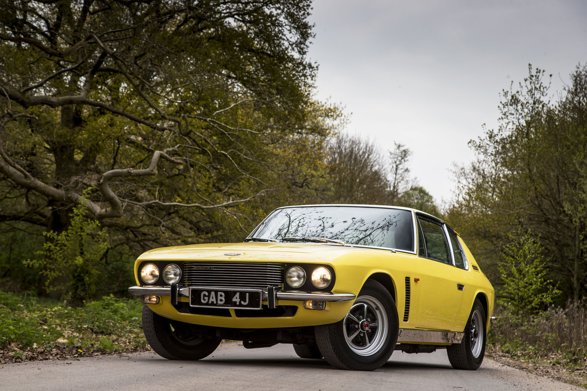 Jensen Interceptor II 6.3 - Avantgarde Classics